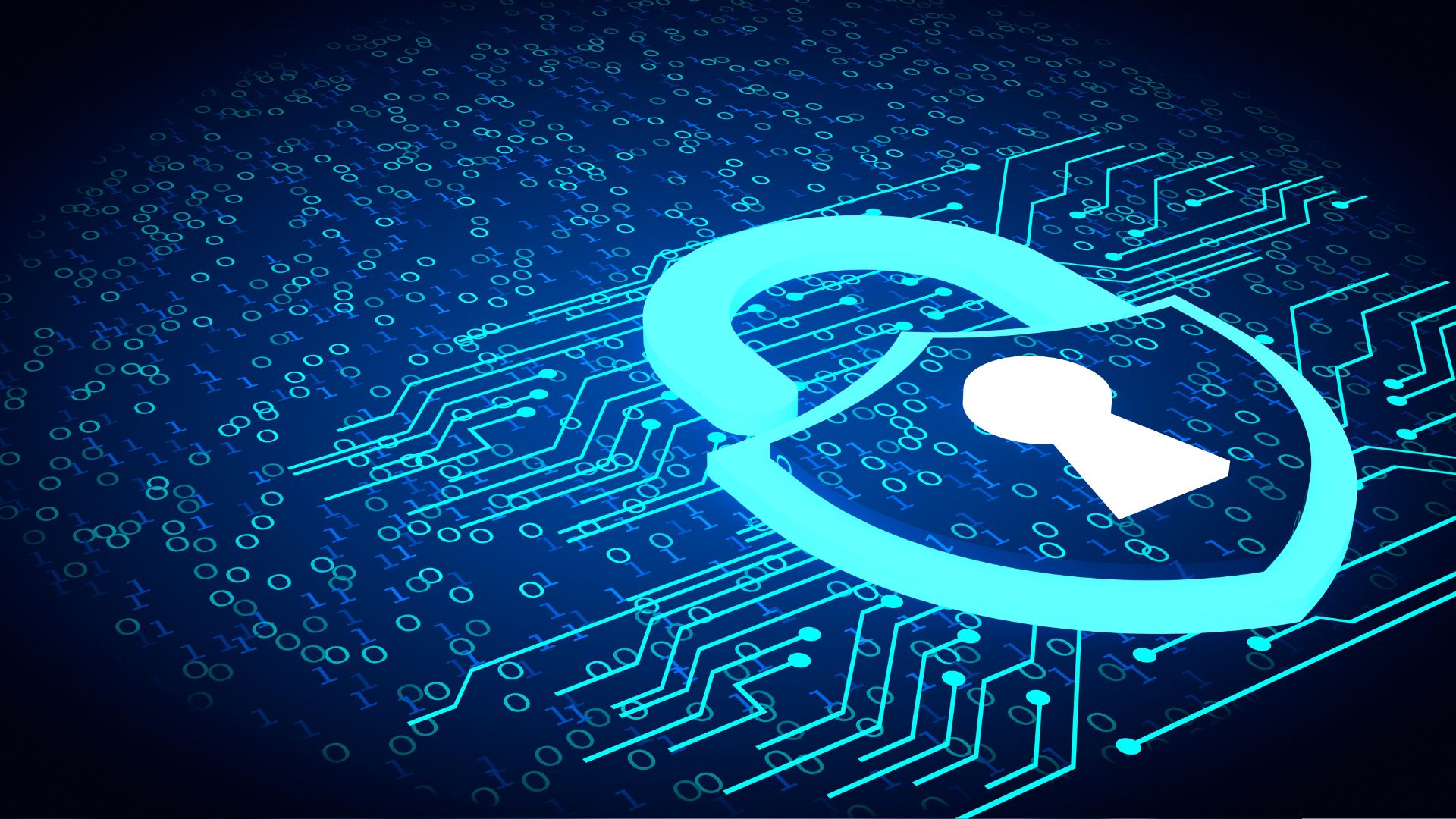 The Importance of Data Privacy: Safeguarding Sensitive Information in ...
